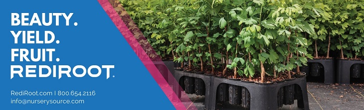 RediRoot - RediRoot (NurserySource) -- planting containers