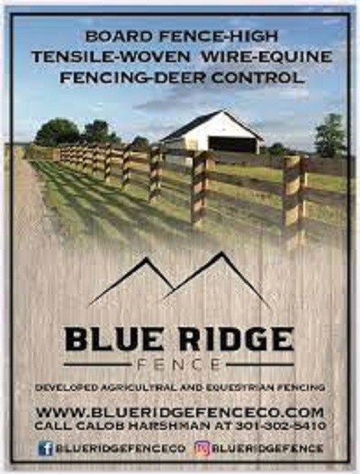 Blue Ridge Fence