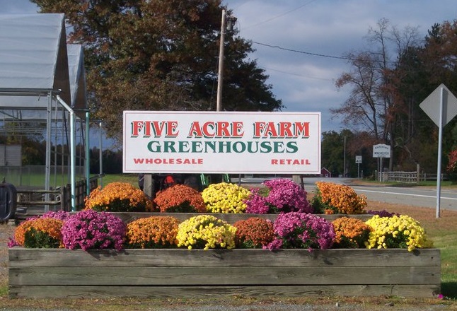 Five Acre Farm (FAF Growers) - Five Acre Farm Greenhouses (FAF Growers)